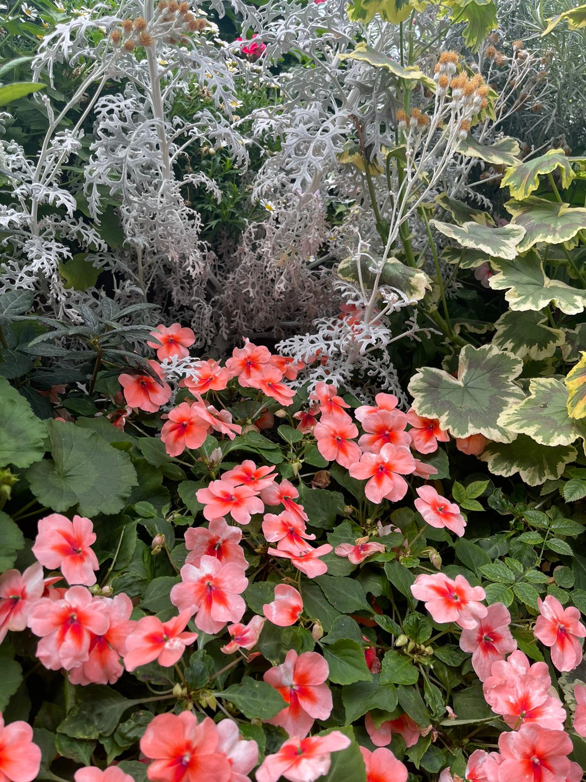 NDP 2022 Appreciation Function | Declarators