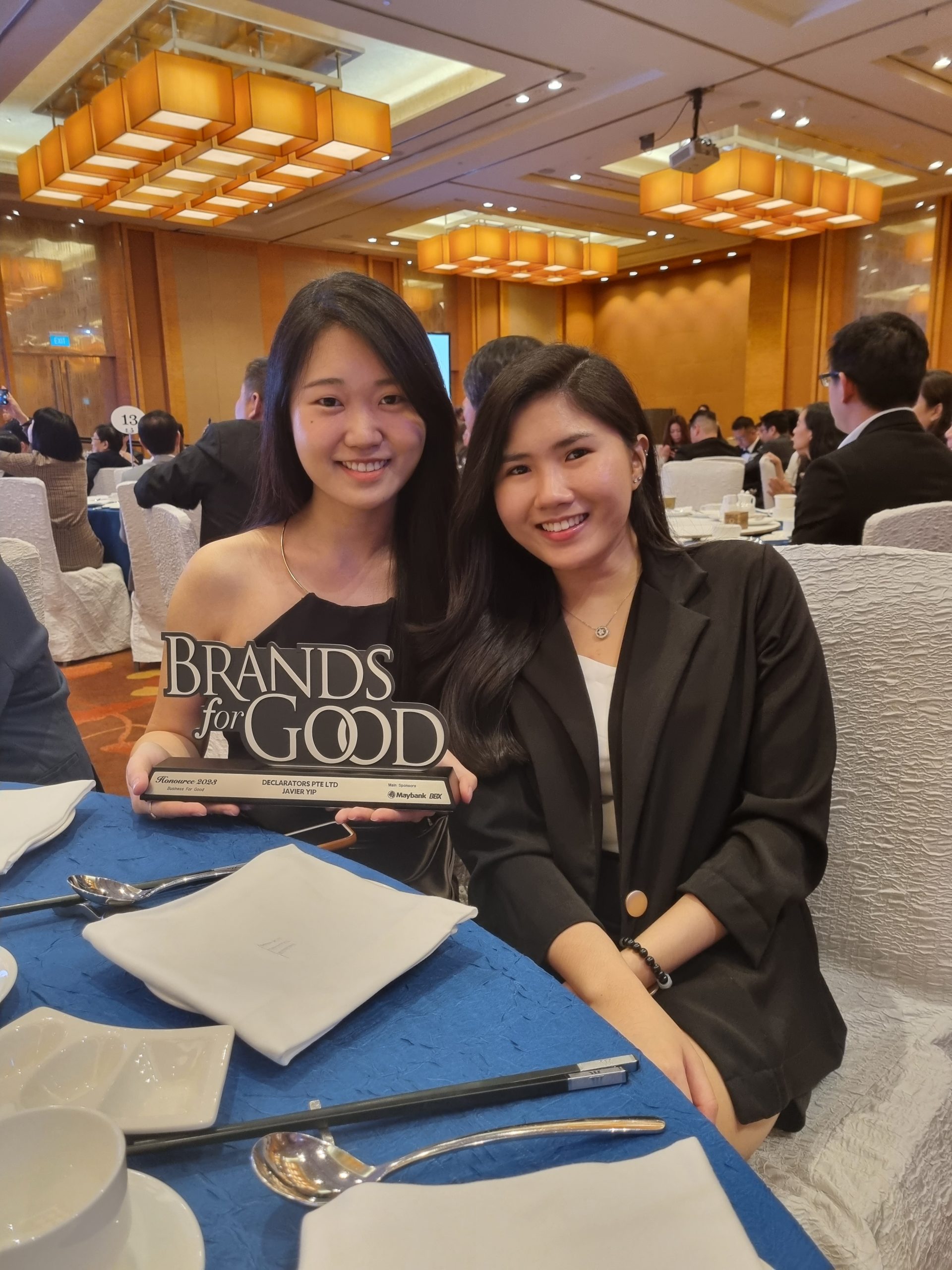 Brands for Good 2023 Award | Declarators