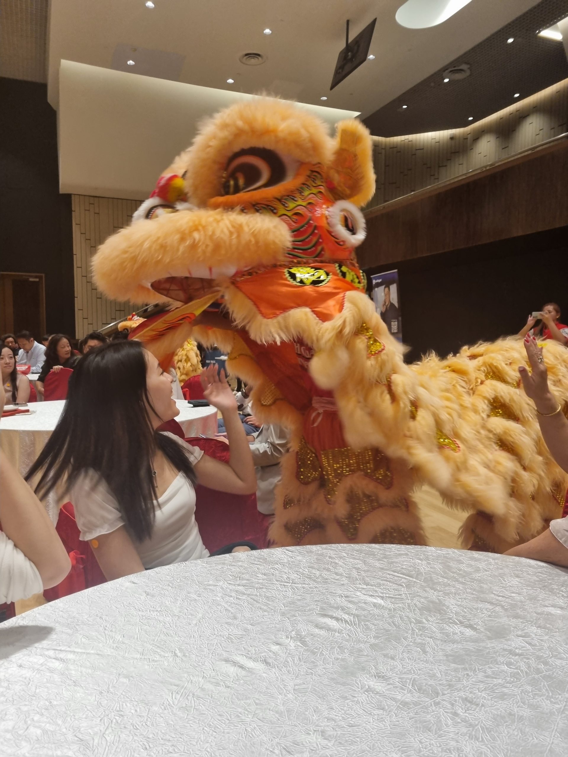 CNY 2024 Lo Hei Invitations | Declarators