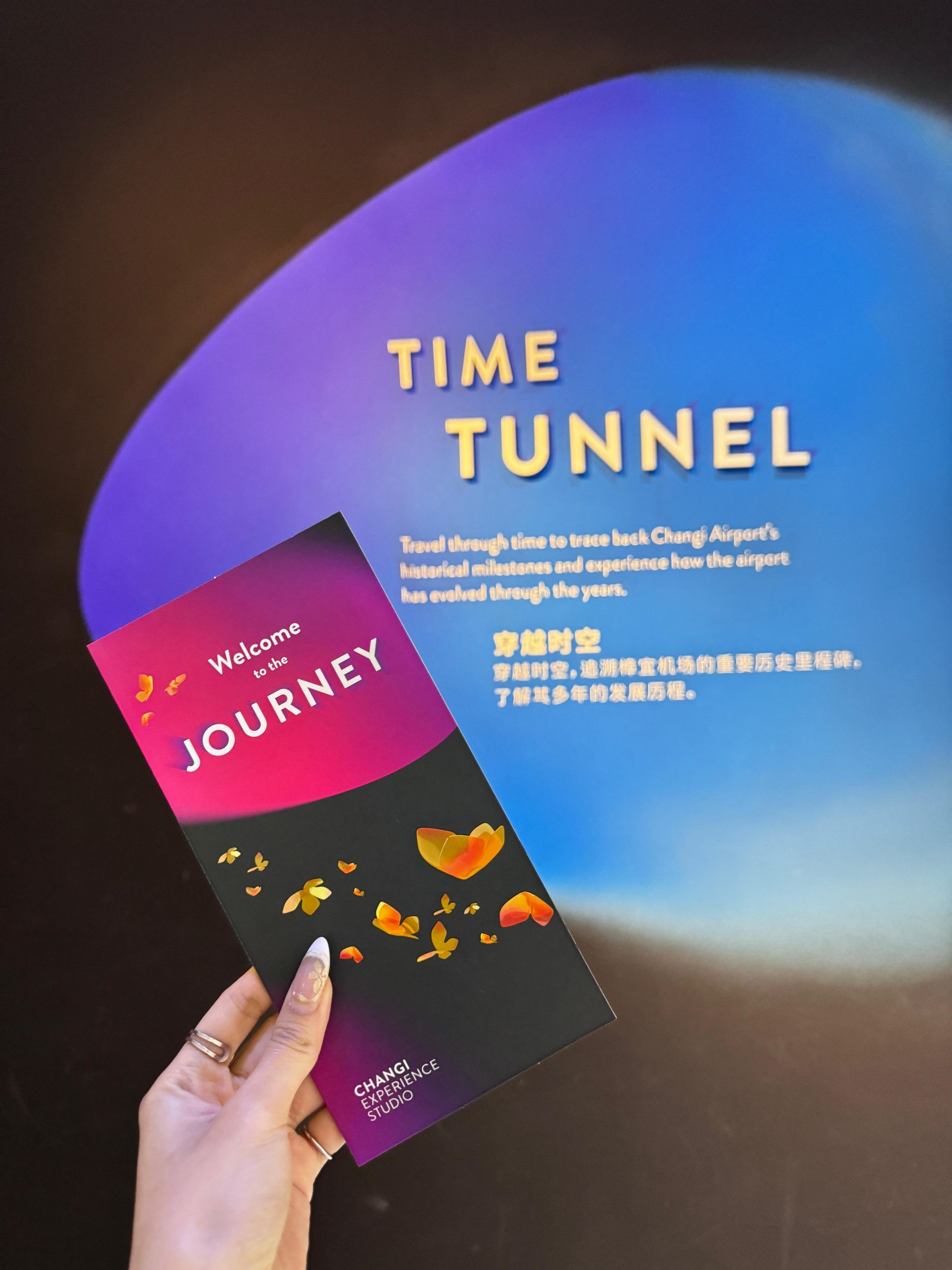 NDP Launch 2025 | Declarators