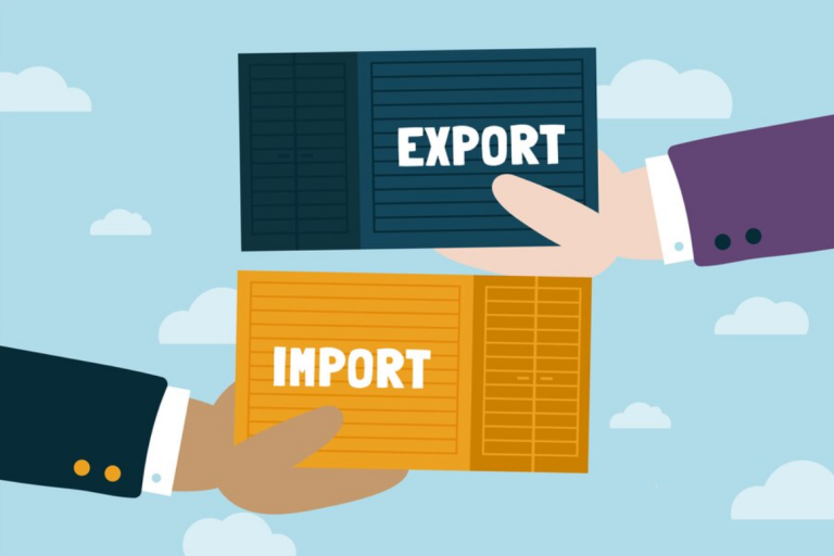 Understanding Re-Export Permit Declaration | Declarators